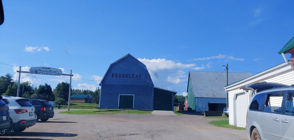 BROADLEAF GUEST RANCH - Updated August 2024 - 40 Photos - 5526 Route ...