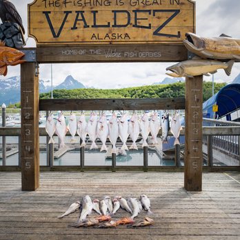 VALDEZ OUTFITTERS - Updated October 2025 - 26 Photos & 15 Reviews ...