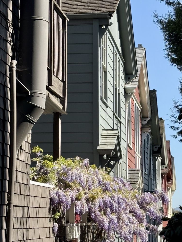 COTTAGE ROW - Updated September 2025 - 70 Photos & 12 Reviews - 1 ...