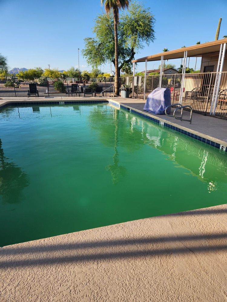 MESA / APACHE JUNCTION KOA - Updated April 2025 - 43 Photos & 73 ...