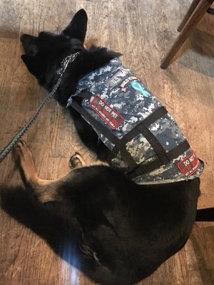 GULFGATE DODGE CHRYSLER JEEP RAM - Updated January 2026 - 37 Photos ...