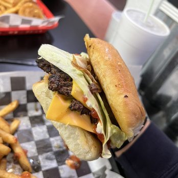 PAPA DOGZ - Updated September 2024 - 33 Photos & 29 Reviews - 707 Dixie ...