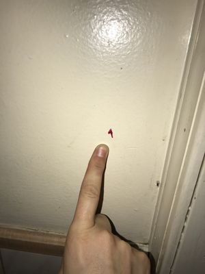 ALPINE MOTEL - Updated September 2024 - 485 Douglas Pike, Smithfield ...