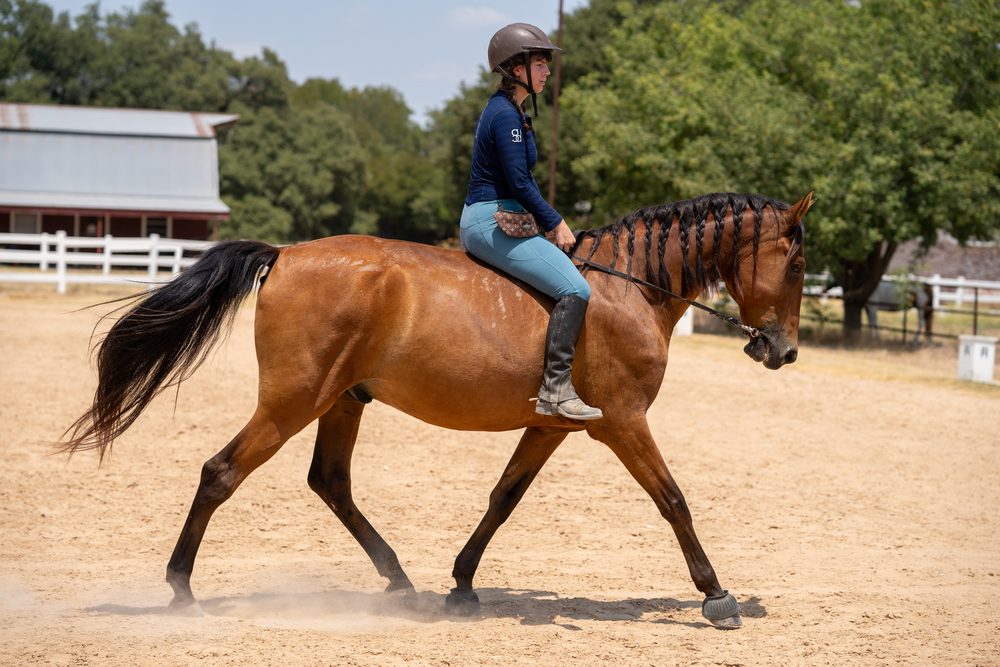 LONE STAR RIDING CLUB - Updated December 2025 - 10701 Darden Hill Rd ...