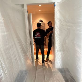 360 RODENT CONTROL - Updated May 2024 - 54 Photos & 93 Reviews - Los ...