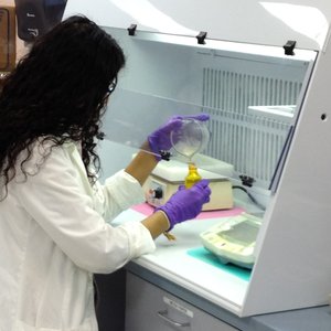 TRIANGLE COMPOUNDING PHARMACY - Updated October 2025 - 3700 Regency ...