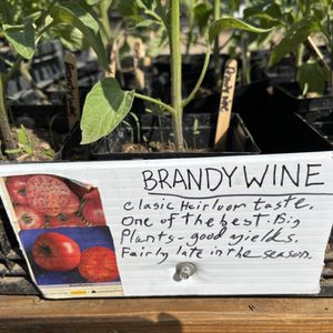 MEYER FAMILY FARM VEGETABLE STAND - Updated October 2025 - 62 Photos ...