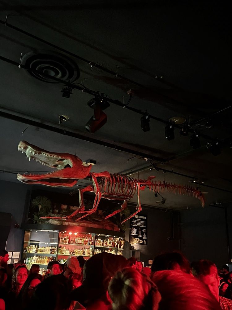 THE CROCODILE - Updated January 2025 - 240 Photos & 428 Reviews - 2505 ...
