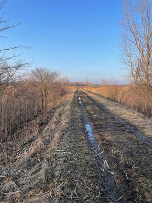 POINTE MOUILLEE STATE GAME AREA - Updated October 2025 - 37205 Mouillee ...