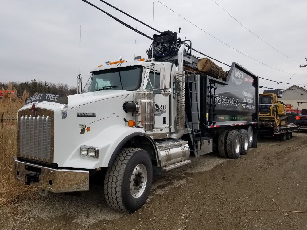 BUDGET TREE SERVICE - Updated August 2025 - 28 Photos & 11 Reviews ...