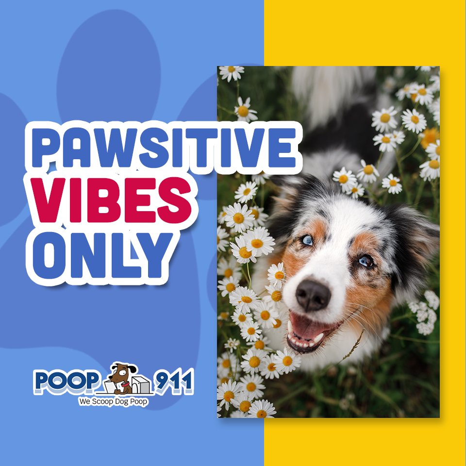 POOP 911 - BATAVIA - Updated January 2025 - Request a Quote - 10 Photos ...