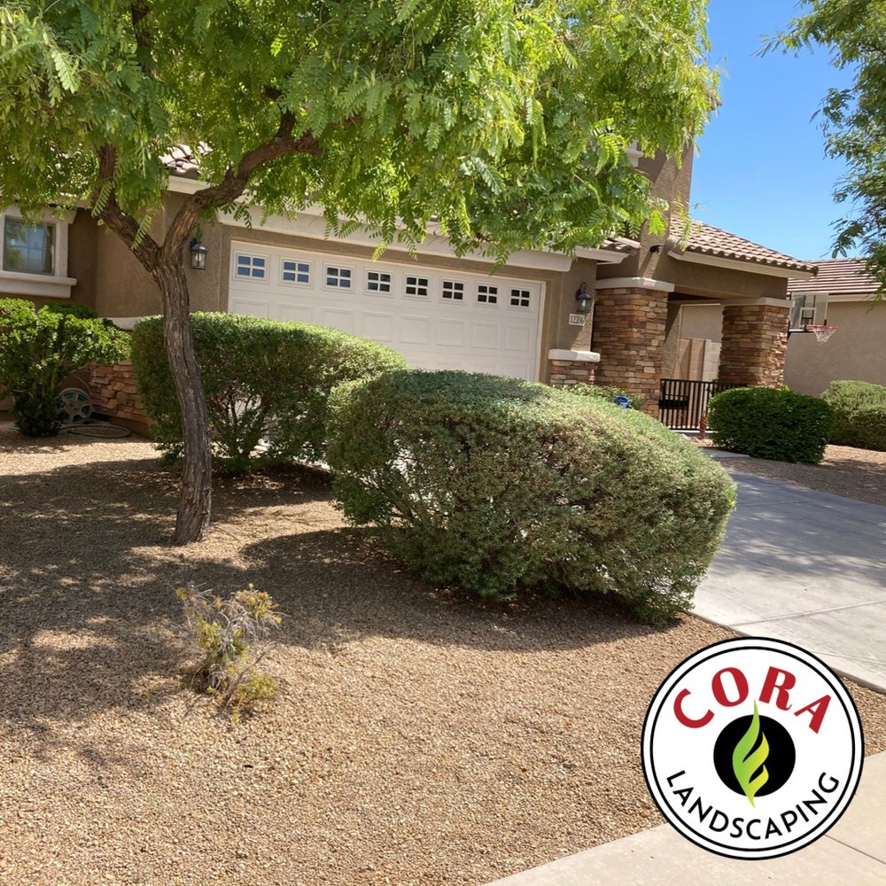 CORA LANDSCAPING - Request a Quote - Avondale, Arizona - Landscaping ...