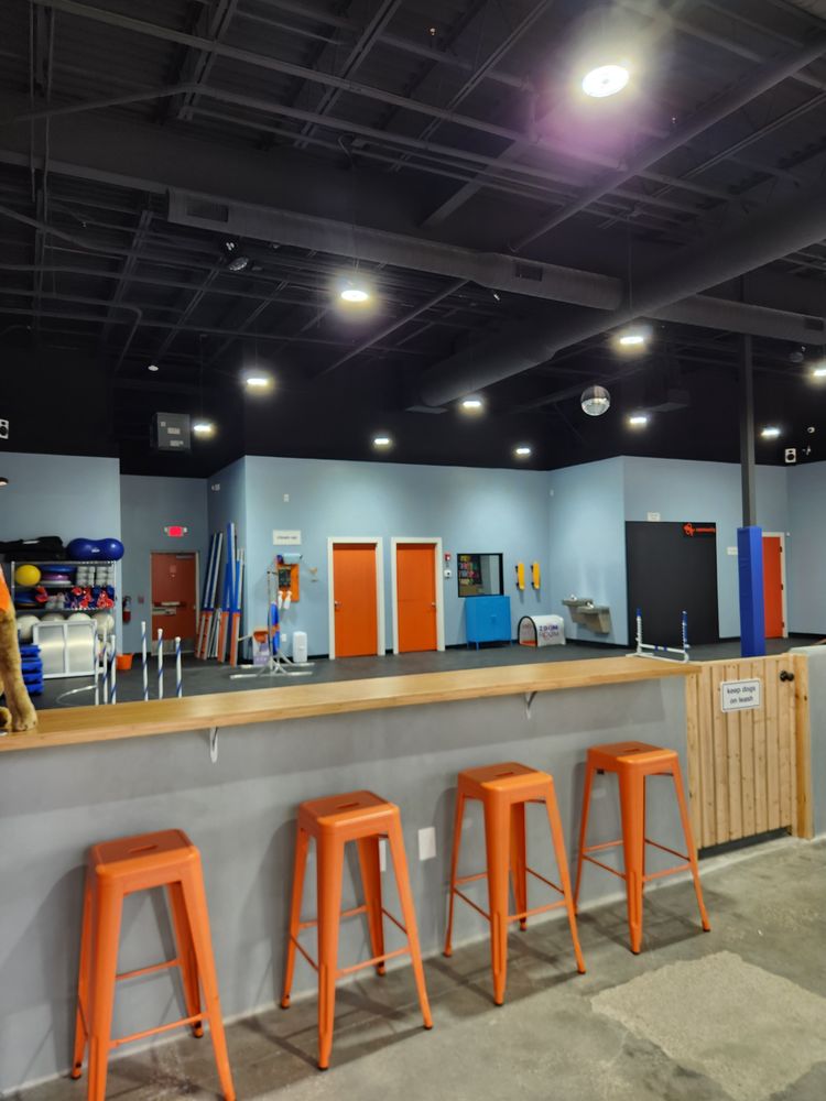 ZOOM ROOM DOG TRAINING - Updated May 2026 - 16322A Southwest Fwy, Sugar ...