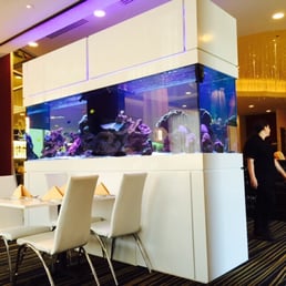 OCEAN ZEN - Updated August 2025 - 205 Photos & 144 Reviews - 4117 S ...