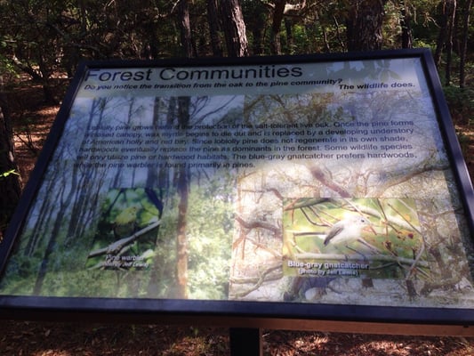 CURRITUCK NATIONAL WILDLIFE REFUGE - Updated April 2024 - Corolla ...