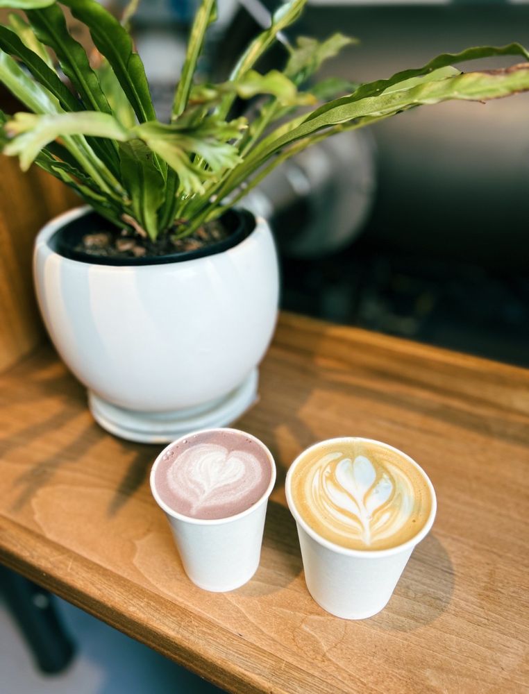 NOE CAFE - Updated July 2024 - 162 Photos & 106 Reviews - 1299 Sanchez ...