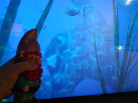 LAFAYETTE SCIENCE MUSEUM - Updated October 2025 - 119 Photos & 12 ...