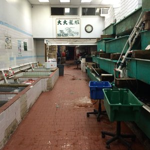THE NEW FULTON FISH MARKET - Updated January 2025 - 112 Photos ...
