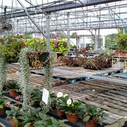 THE CARROT BARN - Updated July 2025 - 64 Photos & 53 Reviews - 5605 ...