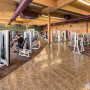 THE DOME - Updated February 2025 - 31 Photos & 12 Reviews - 6501 ...