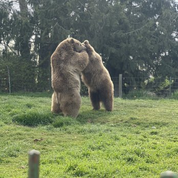 OLYMPIC GAME FARM - Updated July 2024 - 788 Photos & 357 Reviews - 1423 ...