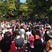 UC DAVIS PICNIC DAY - Updated November 2025 - 163 Photos & 64 Reviews ...