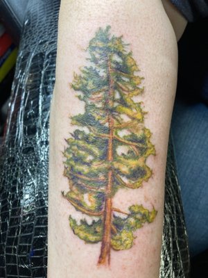 MACK’S TATTOOS - Updated May 2025 - 10 Photos & 13 Reviews - 146 N 100 ...