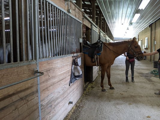 TOWER HILL STABLES - Updated September 2024 - 33 Photos & 25 Reviews ...