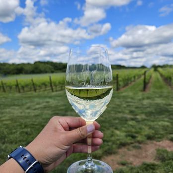 WINDRIDGE VINEYARDS - Updated August 2025 - 520 Photos & 221 Reviews ...