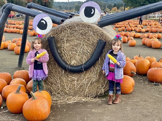 SPOONER FARMS - 84 Photos & 71 Reviews - 9710 State Rte 162 E, Puyallup ...