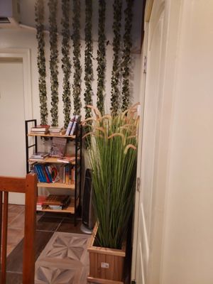 BLUE TARO - Updated October 2025 - 64 Reviews & 154 Photos - 942 Monroe ...