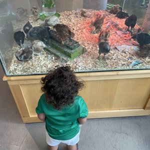 KENTON COUNTY PUBLIC LIBRARY - Updated October 2025 - 42 Photos & 12 ...