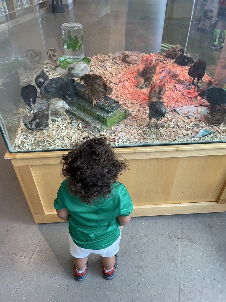 KENTON COUNTY PUBLIC LIBRARY INDEPENDENCE BRANCH - Updated October 2025 ...