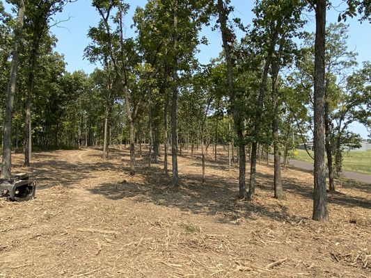 IMS FORESTRY SERVICES - Updated September 2025 - 18 Photos - St. Louis ...