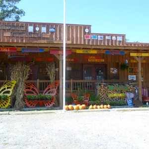 ROME GUN AND PAWN - 1200 Dean Ave, Rome, Georgia - Pawn Shops - Phone ...