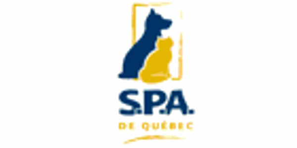 SPA DE QUÉBEC - Updated August 2024 - 1130 Avenue Galilée, Québec ...