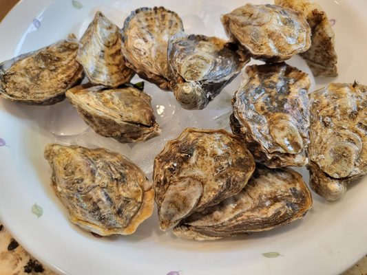 PACIFIC FRESH FISH - Updated August 2025 - 84 Photos & 58 Reviews - 700 ...