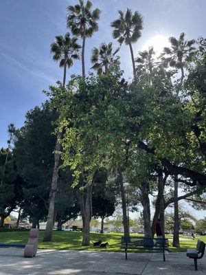 MODJESKA PARK - Updated December 2024 - 66 Photos & 24 Reviews - 1331 S ...