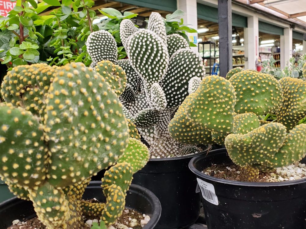 NEX OUTDOOR LIVING CENTER - Updated May 2025 - 127 Photos & 23 Reviews ...