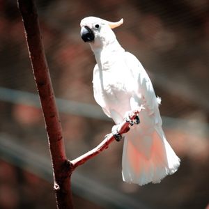 FUNKY TOWN - Updated January 2026 - 42 Photos & 101 Reviews - 8300 E ...