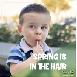 Snip-Its Reviews | Read Customer Service Reviews of snipits.com