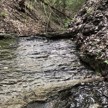 Chestnut Ridge Park - 141 Photos & 42 Reviews - Disc Golf - 6121 ...