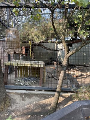 MICKE GROVE PARK - 119 Photos & 52 Reviews - 11793 N Micke Grove Rd ...