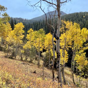 GOLDEN GATE CANYON STATE PARK - Updated November 2025 - 329 Photos - 95 ...