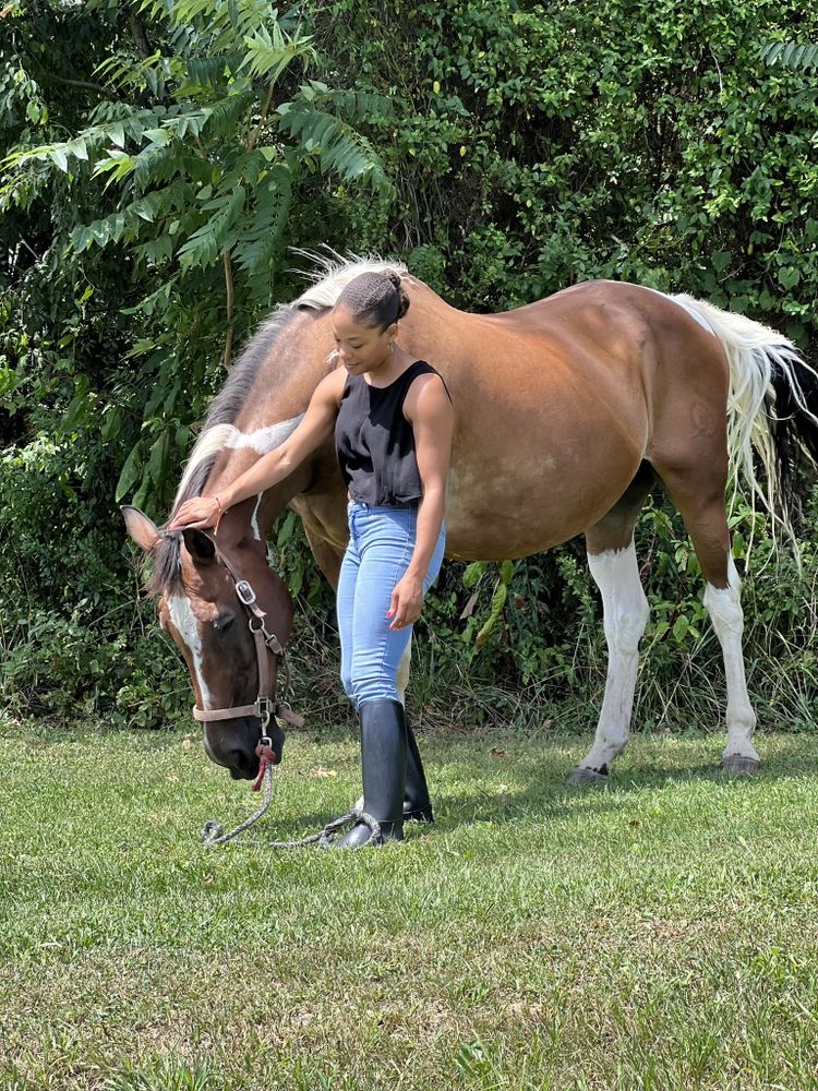 ELEVATION EQUINE SERVICES - Request Information - Woodbridge, VA - Yelp