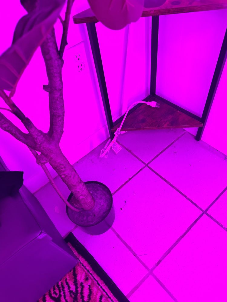 BOCA TANNING CLUB BRICKELL - Updated January 2026 - 88 Photos & 79 ...