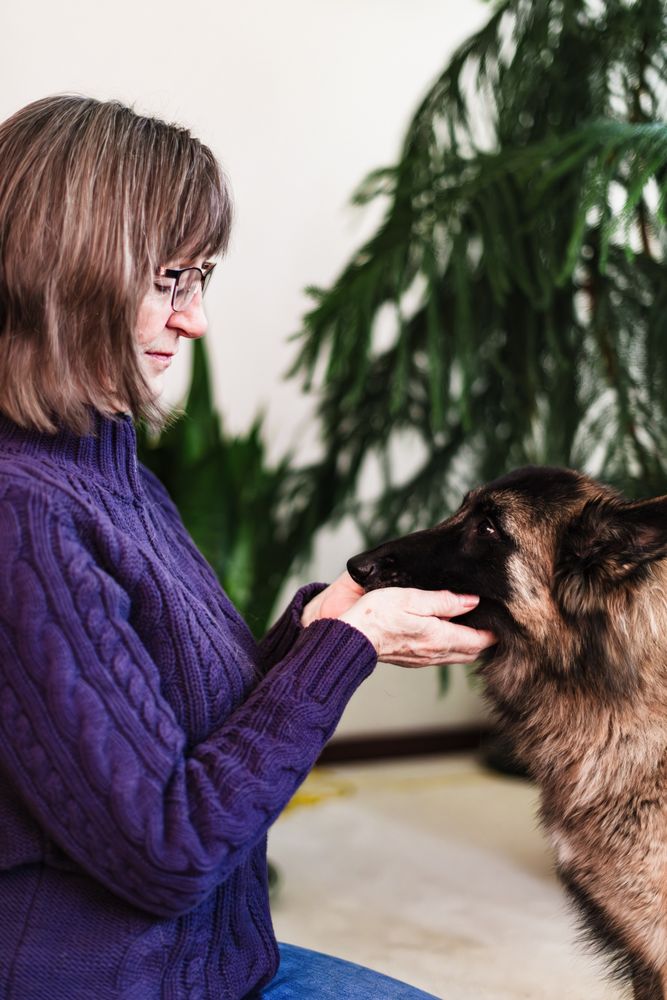 NORTHERN TAILS DOG TRAINING - Updated December 2025 - Clayton ...