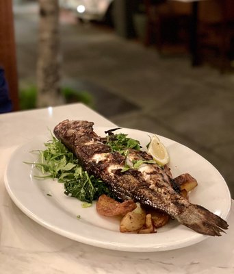 AGRODOLCE OSTERIA - 596 Photos & 709 Reviews - 1730 Shattuck Ave ...