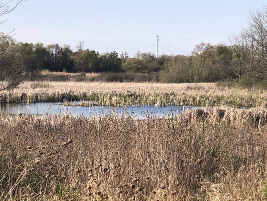 VOLO BOG STATE NATURAL AREA - Updated April 2024 - 63 Photos & 33 ...
