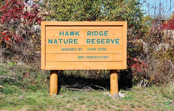 HAWK RIDGE - Updated February 2025 - 24 Photos & 11 Reviews - 3980 E ...